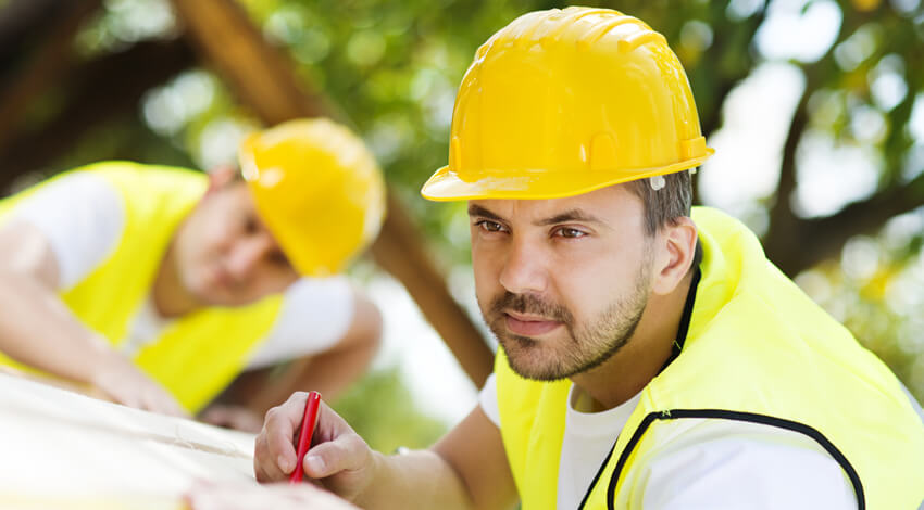 Services – Calisto